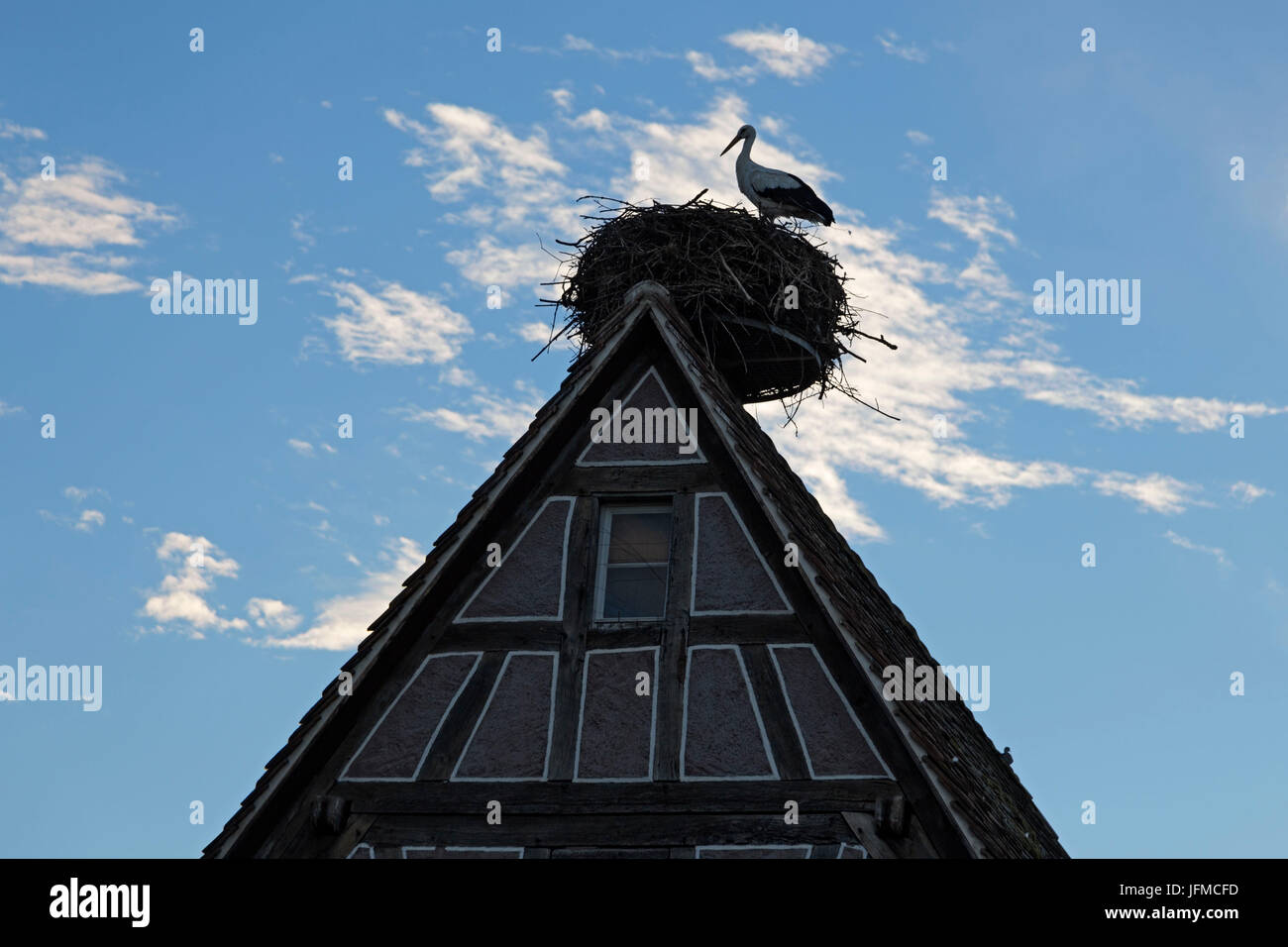 Strasbourg, Alsace, France, Storks nest Stock Photo - Alamy