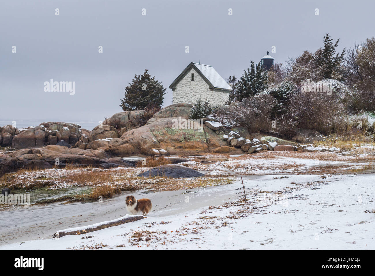 USA, Massachusetts, Cape Ann, Gloucester, Annisquam, Anniquam Lighthouse and dog, early winter ...