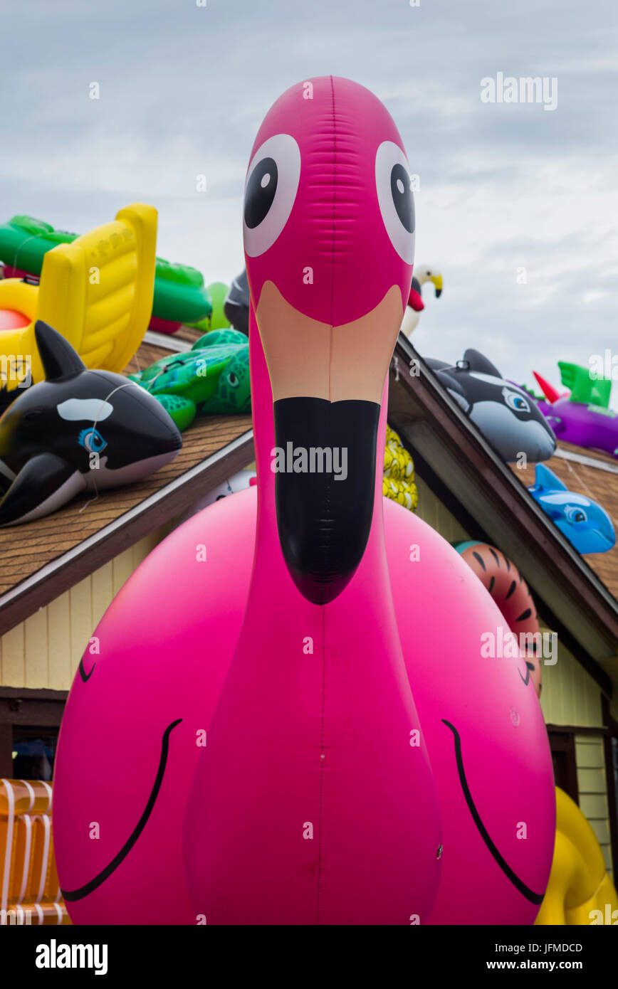 USA, Massachusetts, Cape Cod, Wellfleet, pink flamingo beach floats ...