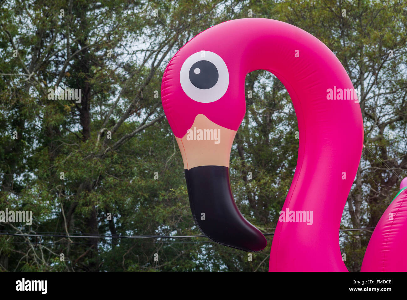 USA, Massachusetts, Cape Cod, Wellfleet, pink flamingo beach floats ...