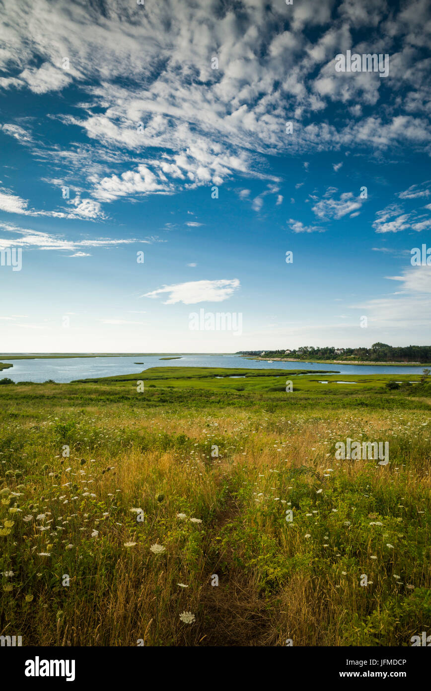USA, Massachusetts, Cape Cod, Eastham, Fort Hill, landscape Stock Photo ...