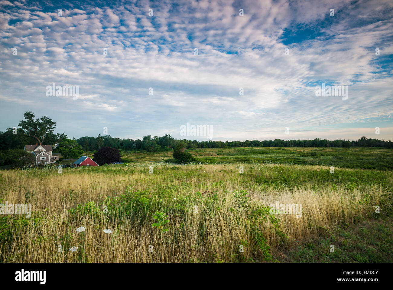 USA, Massachusetts, Cape Cod, Eastham, Fort Hill, landscape Stock Photo ...