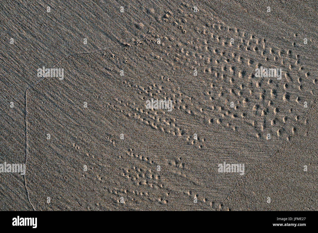 Natural Science, Texture of sand on the beach close-up Stock Photo - Alamy