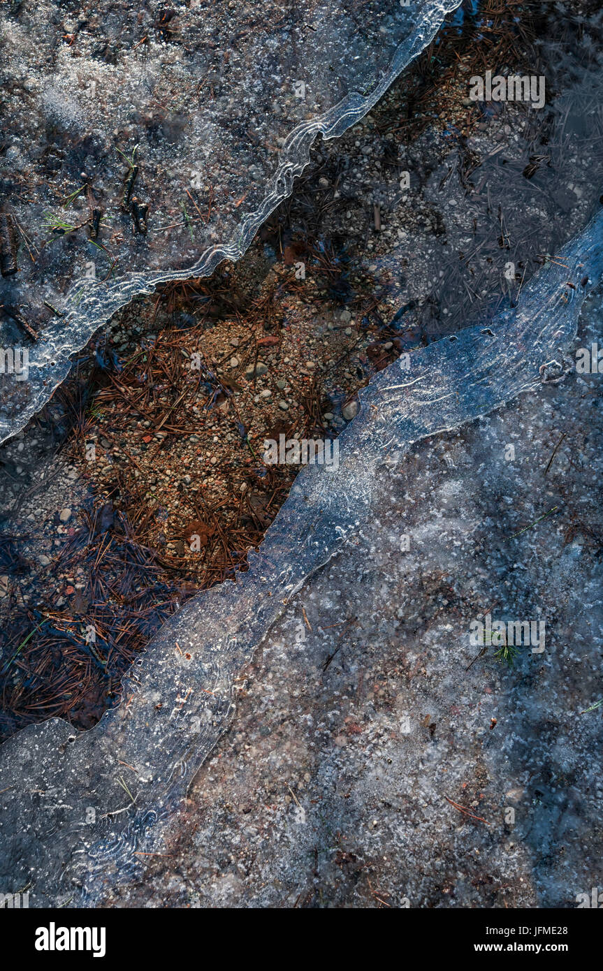 Natural Science, Puddle in spring forest Stock Photo - Alamy