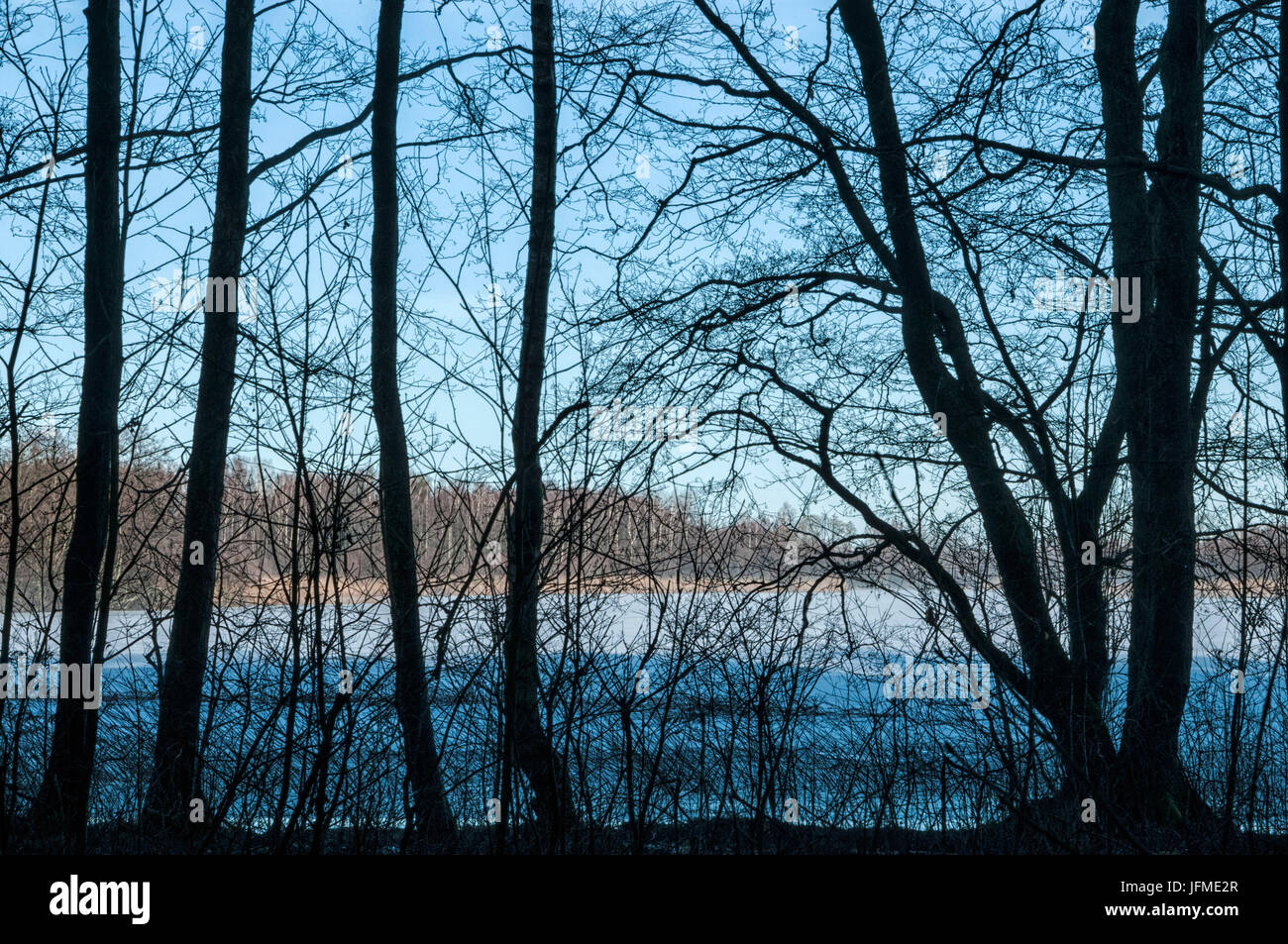 Natural Science, Spring at the lake Stock Photo - Alamy