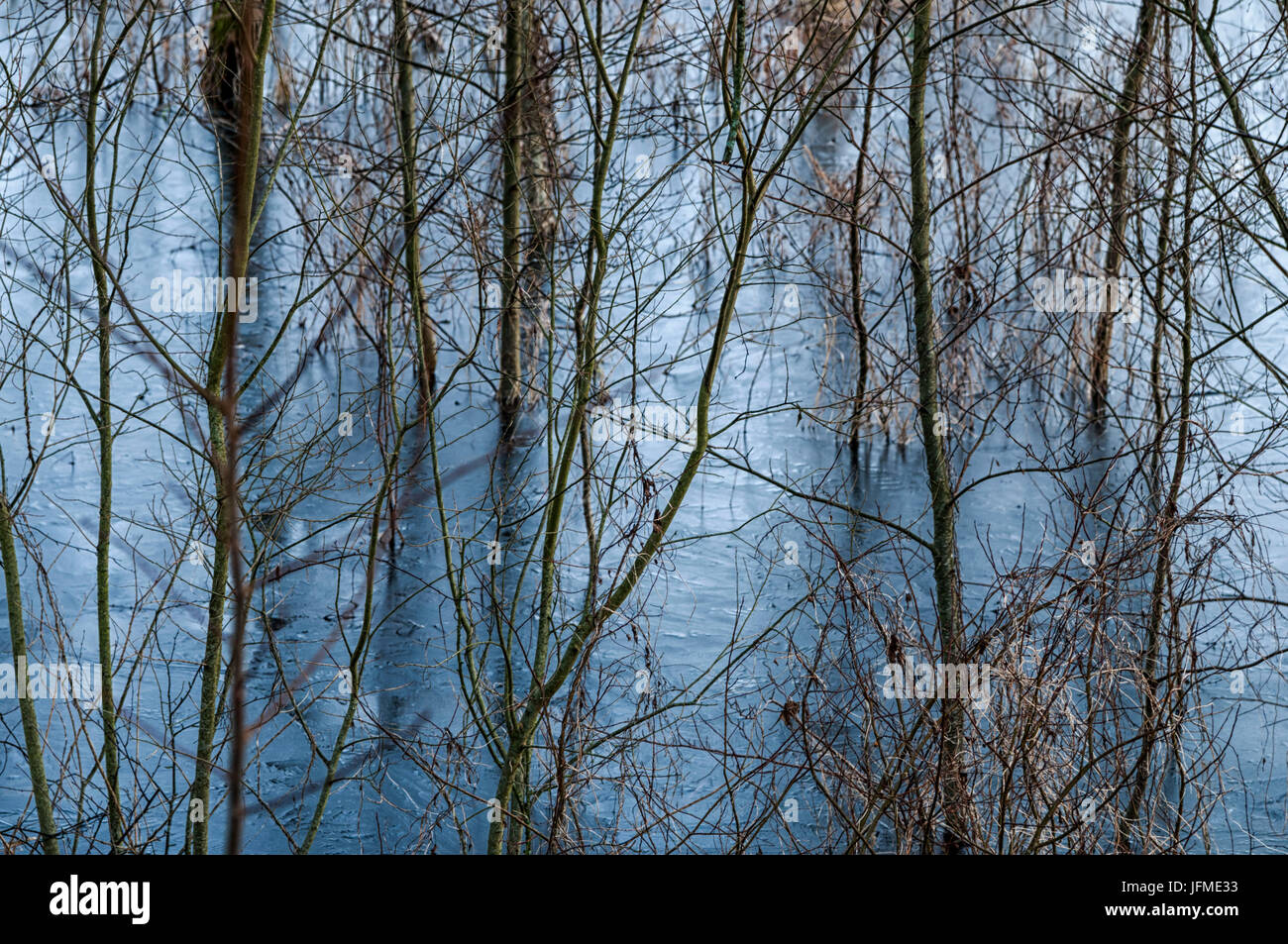 Branches of science hi-res stock photography and images - Alamy