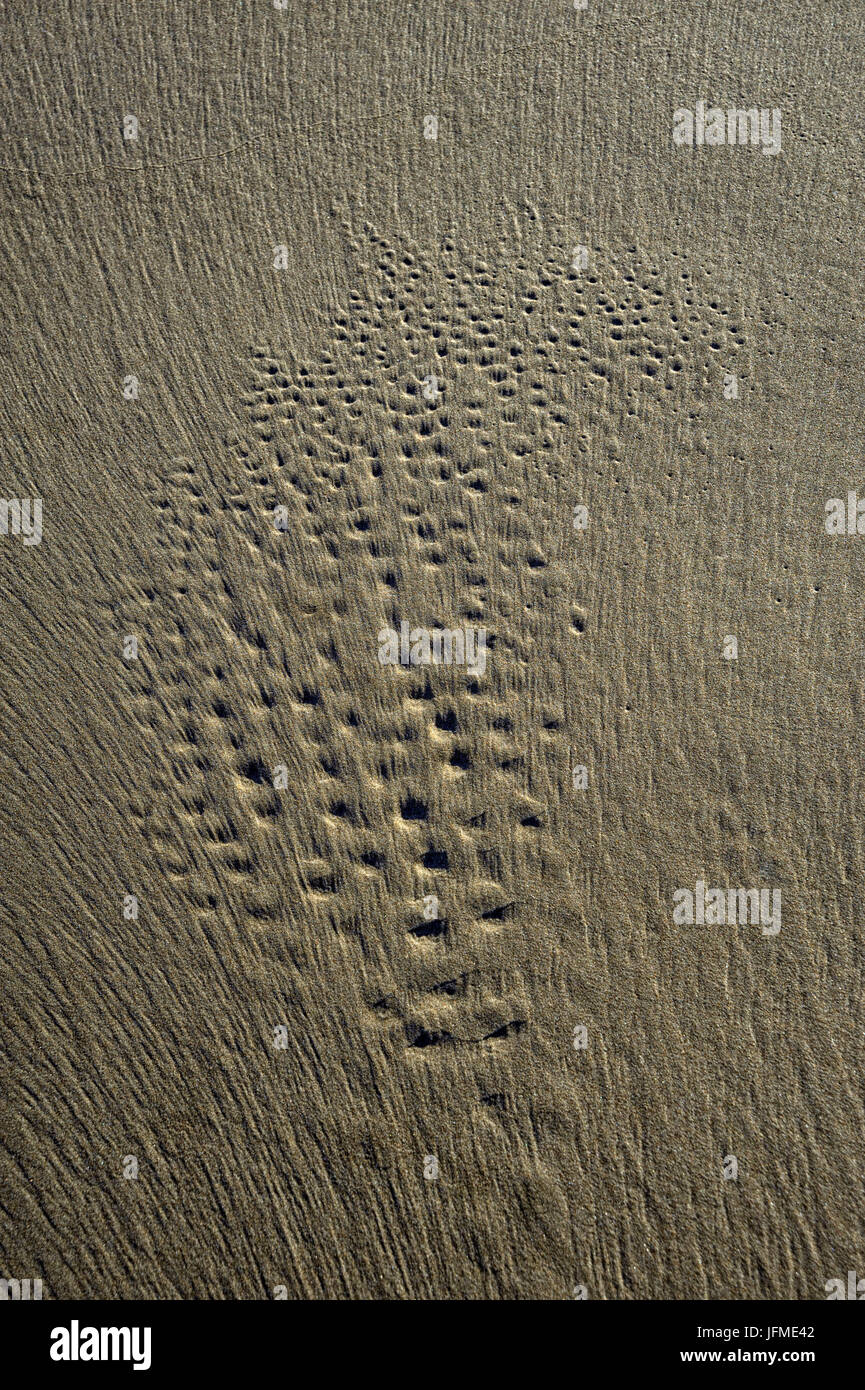 Natural Science, Texture of sand on the beach close-up Stock Photo - Alamy