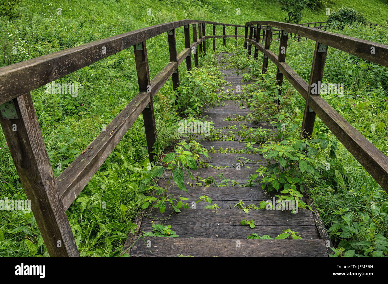 Natural Science, An old staircase leading down Stock Photo - Alamy