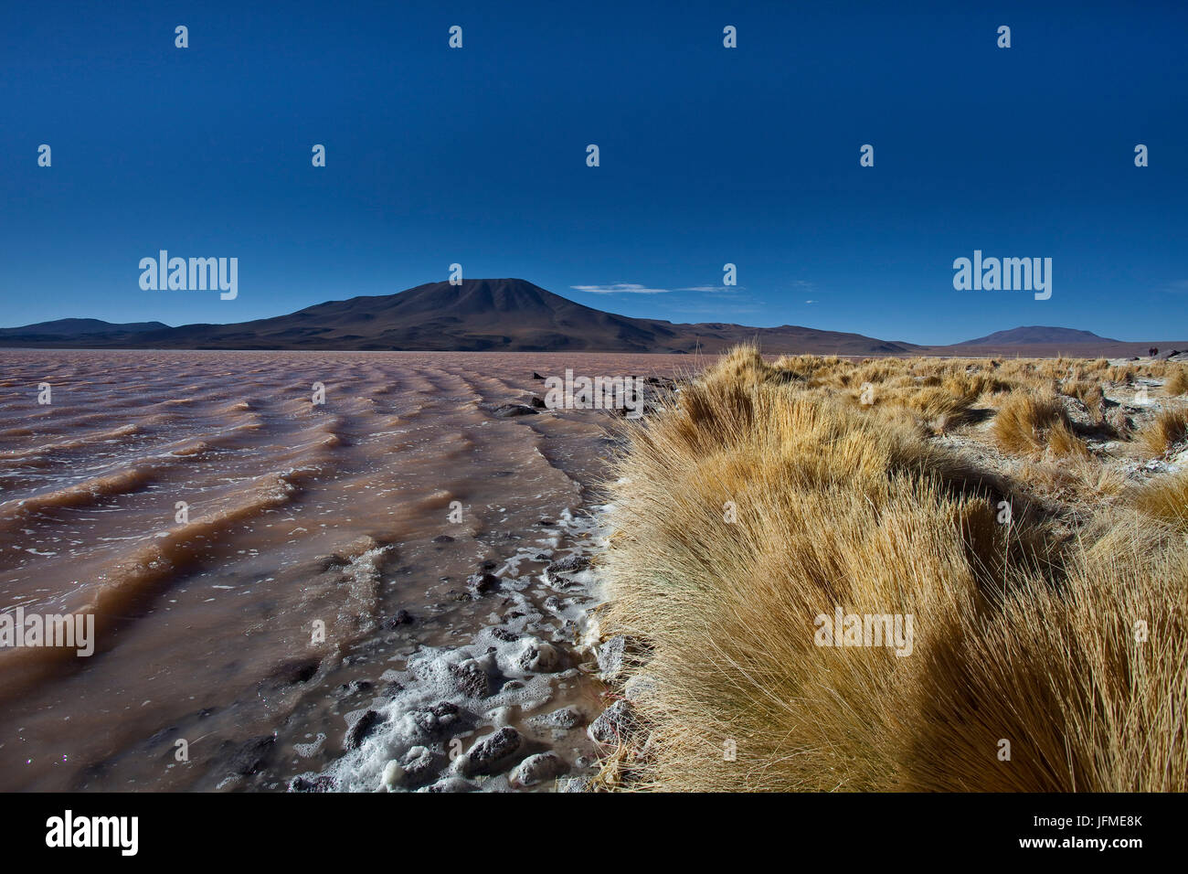 The shallow salt lake known as Laguna Colorada (Red Lagoon) in the ...