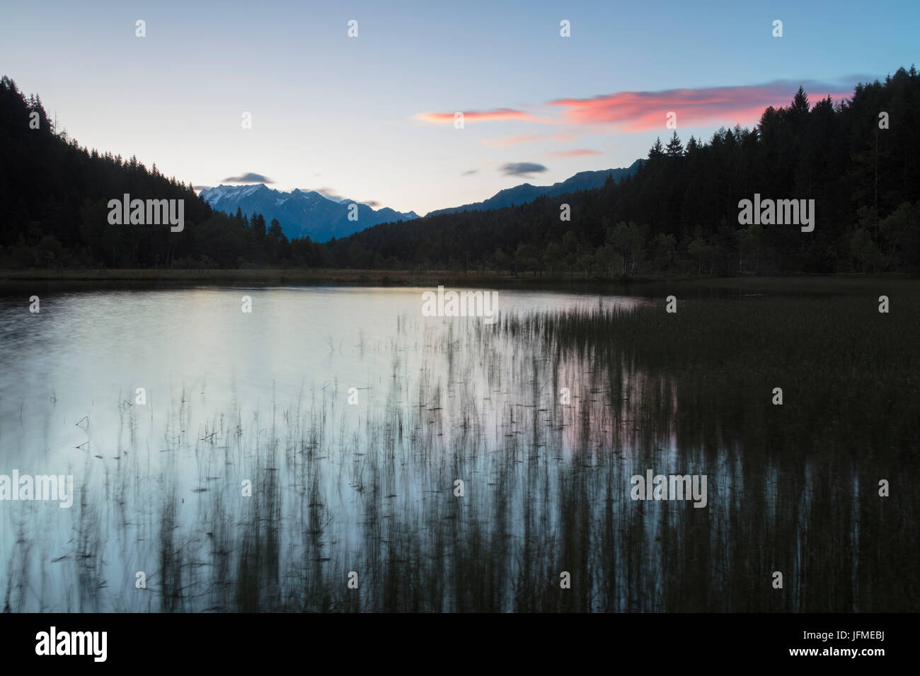 Dawn lights up the swamp of the Natural Reserve of Pian di Gembro ...