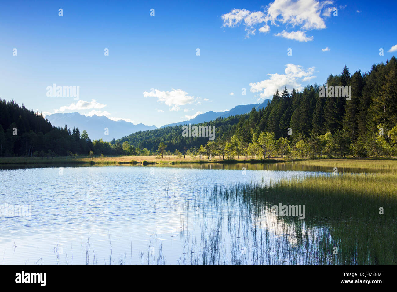 The nature reserve of pian di gembro hi-res stock photography and ...