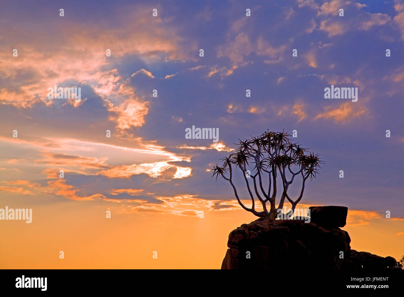 Regenarm hi-res stock photography and images - Alamy