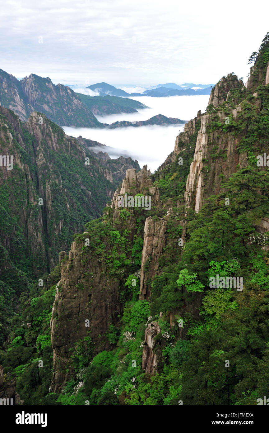Huangshan mountain yellow mountains hi-res stock photography and images - Alamy