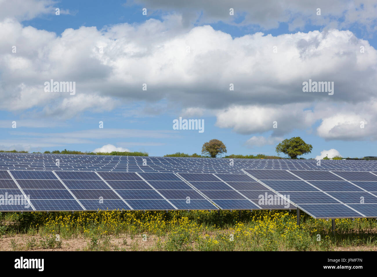 Solar farm england uk hi-res stock photography and images - Alamy