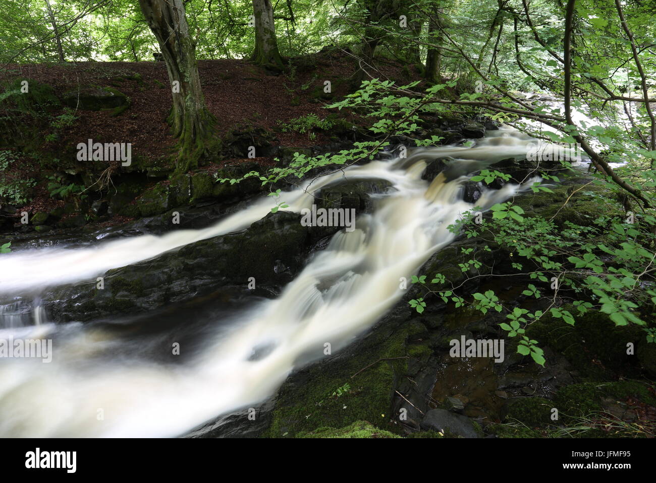 Moness burn near Aberfeldy Scotland June 2017 Stock Photo - Alamy