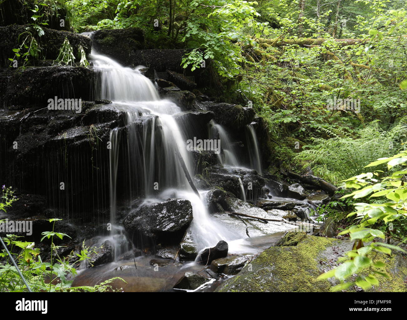 Waterfall in Moness Gorge near Aberfeldy Scotland June 2017 Stock Photo ...