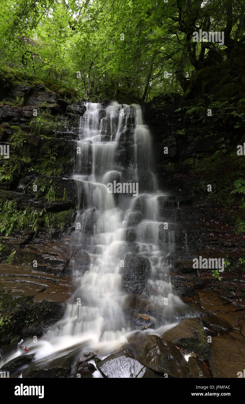Moness gorge scotland hi-res stock photography and images - Alamy