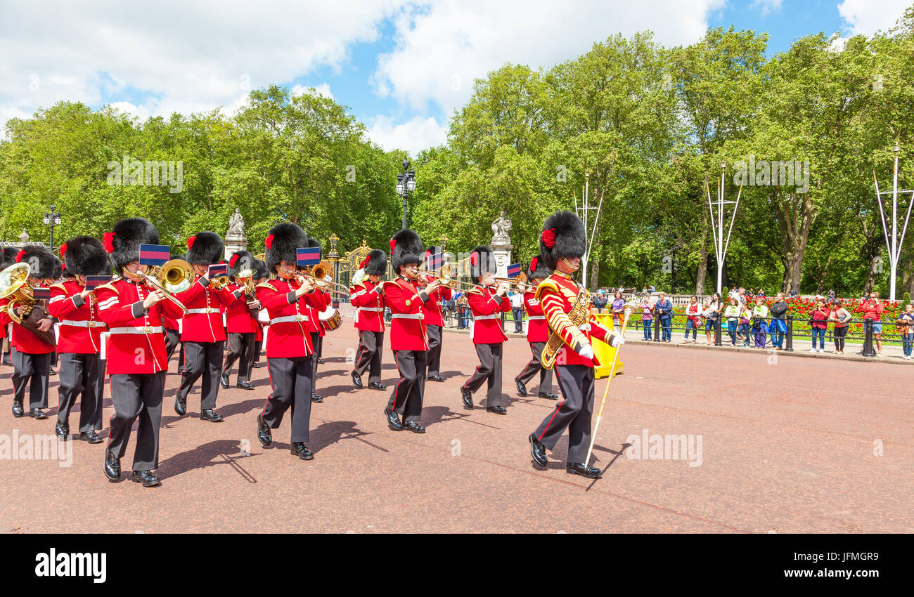 Coldstream guardsman flag hi-res stock photography and images - Alamy