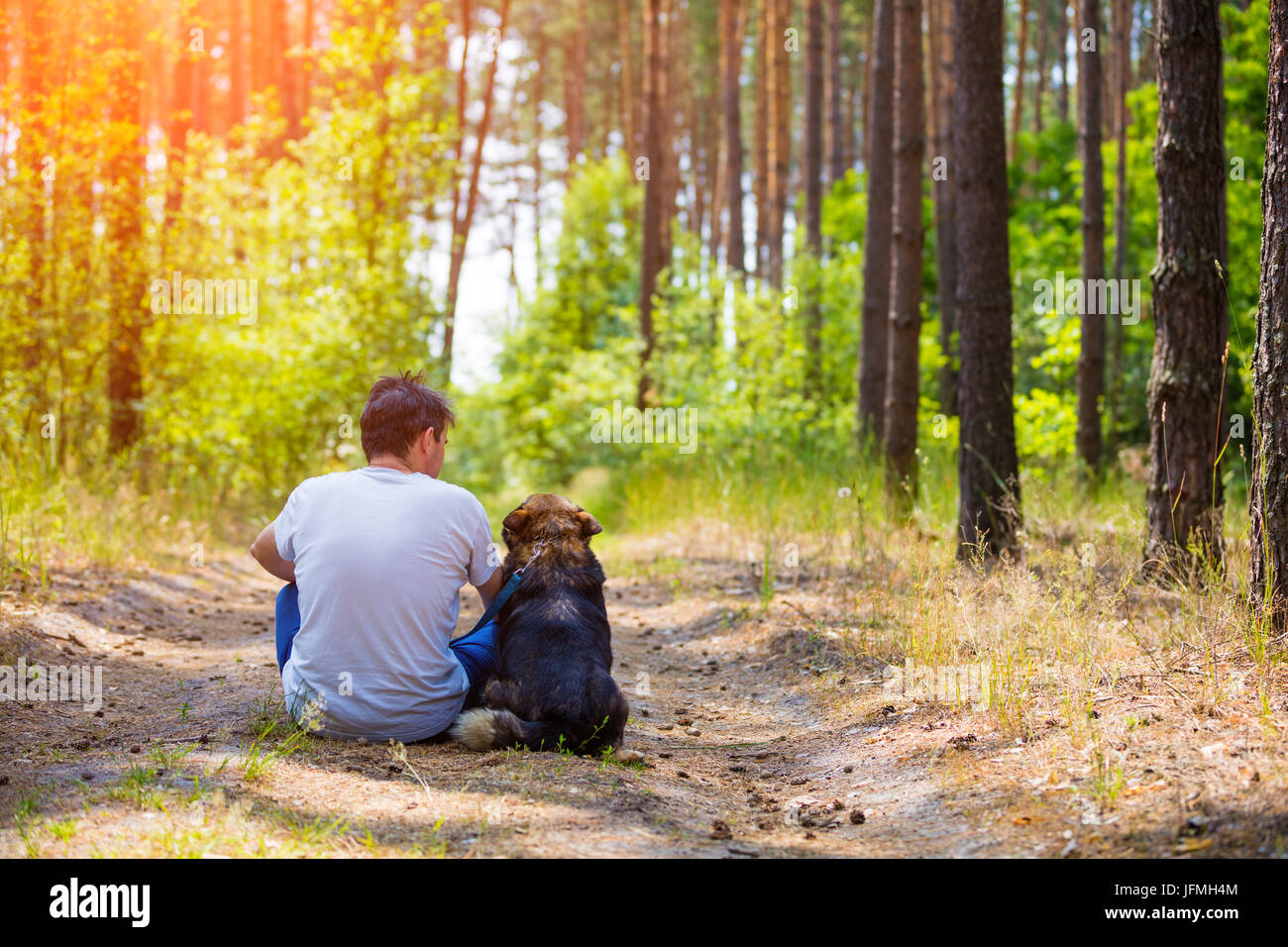 Man sitting with a dog on dirt road in pine forest in summer back to ...