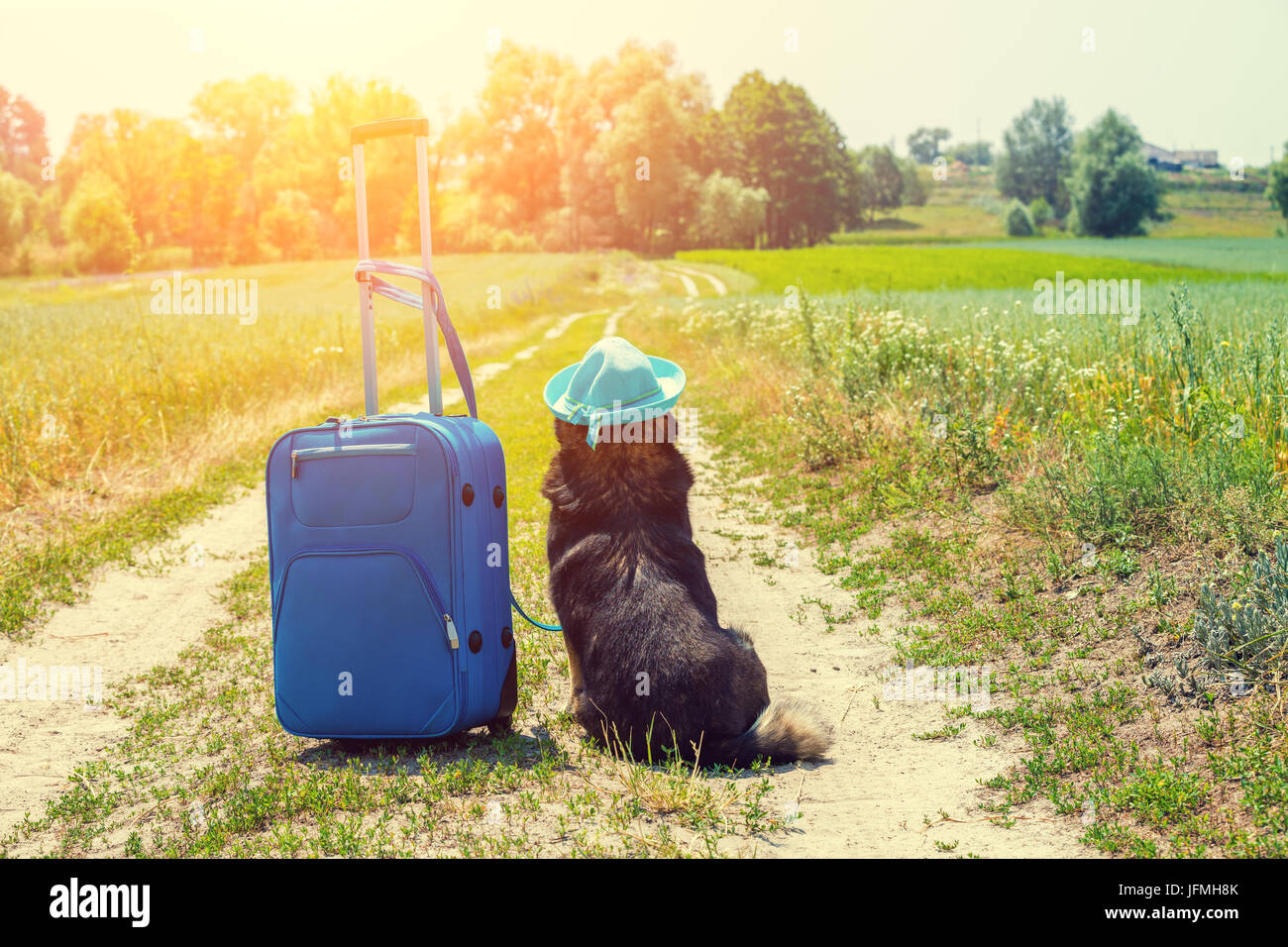 Wanderer wearing hi-res stock photography and images - Alamy