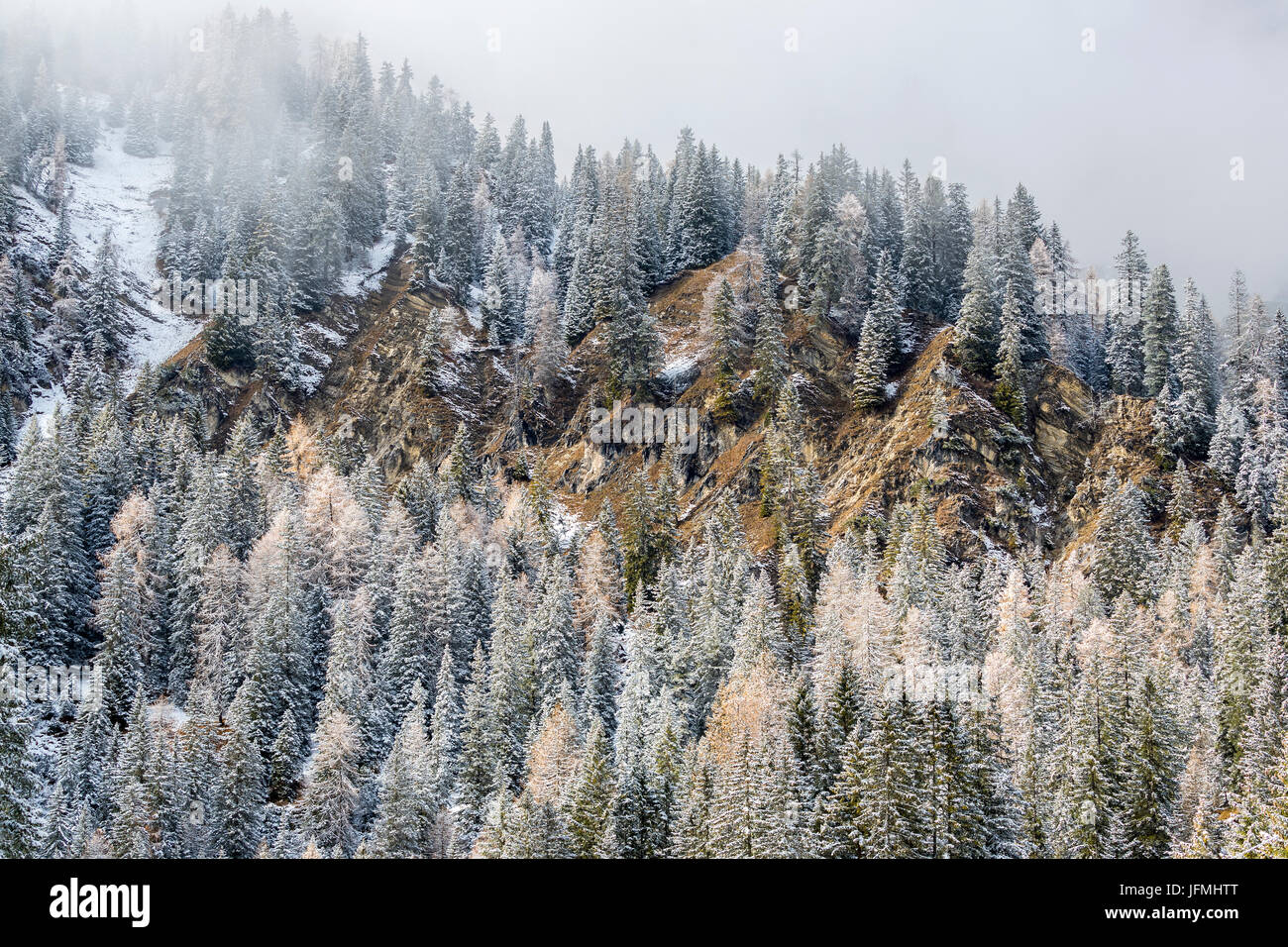 Passo Tre Croci, Cortina D'Ampezzo, Province of Belluno, region of ...