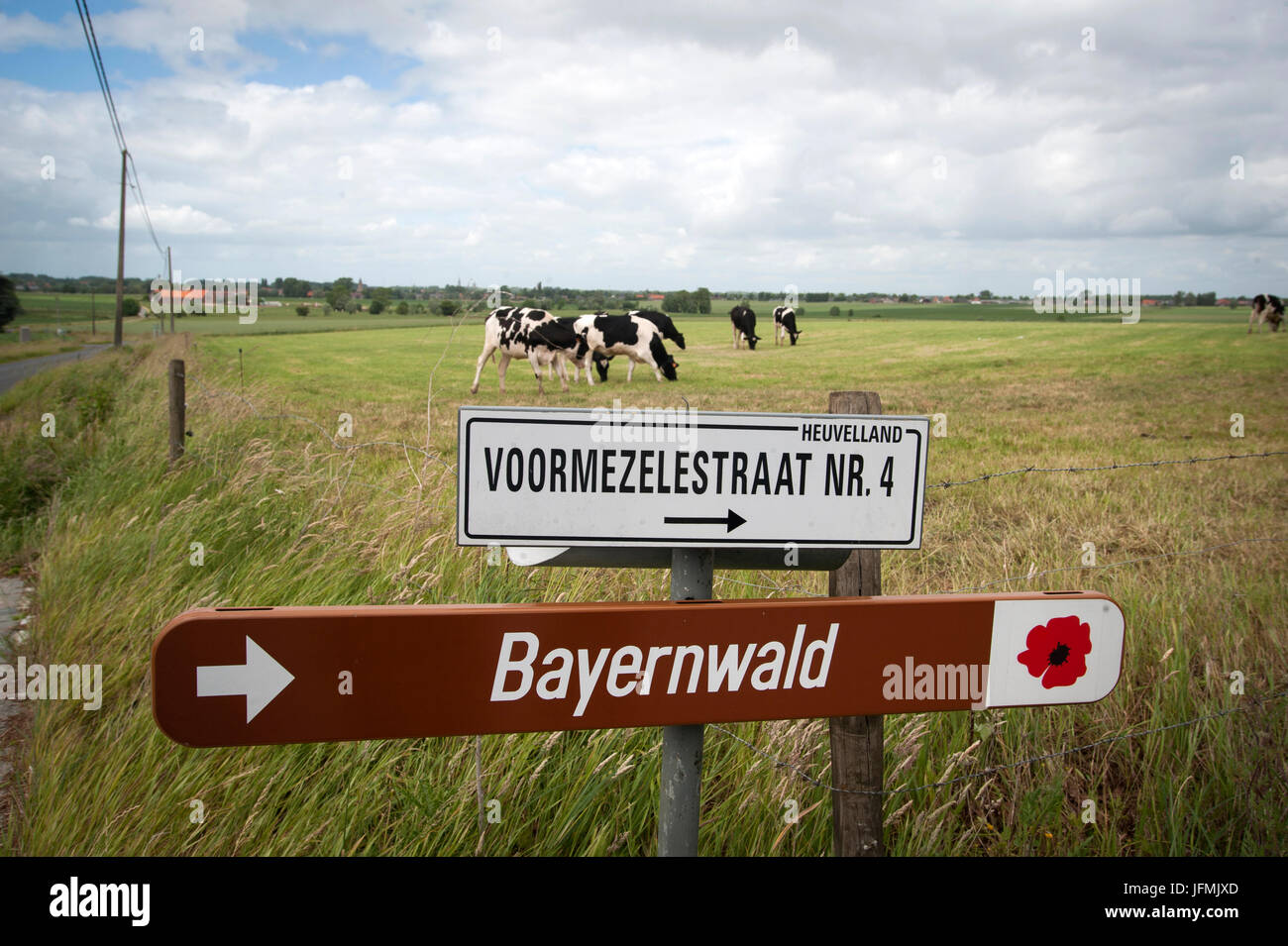 German trench system hi-res stock photography and images - Alamy