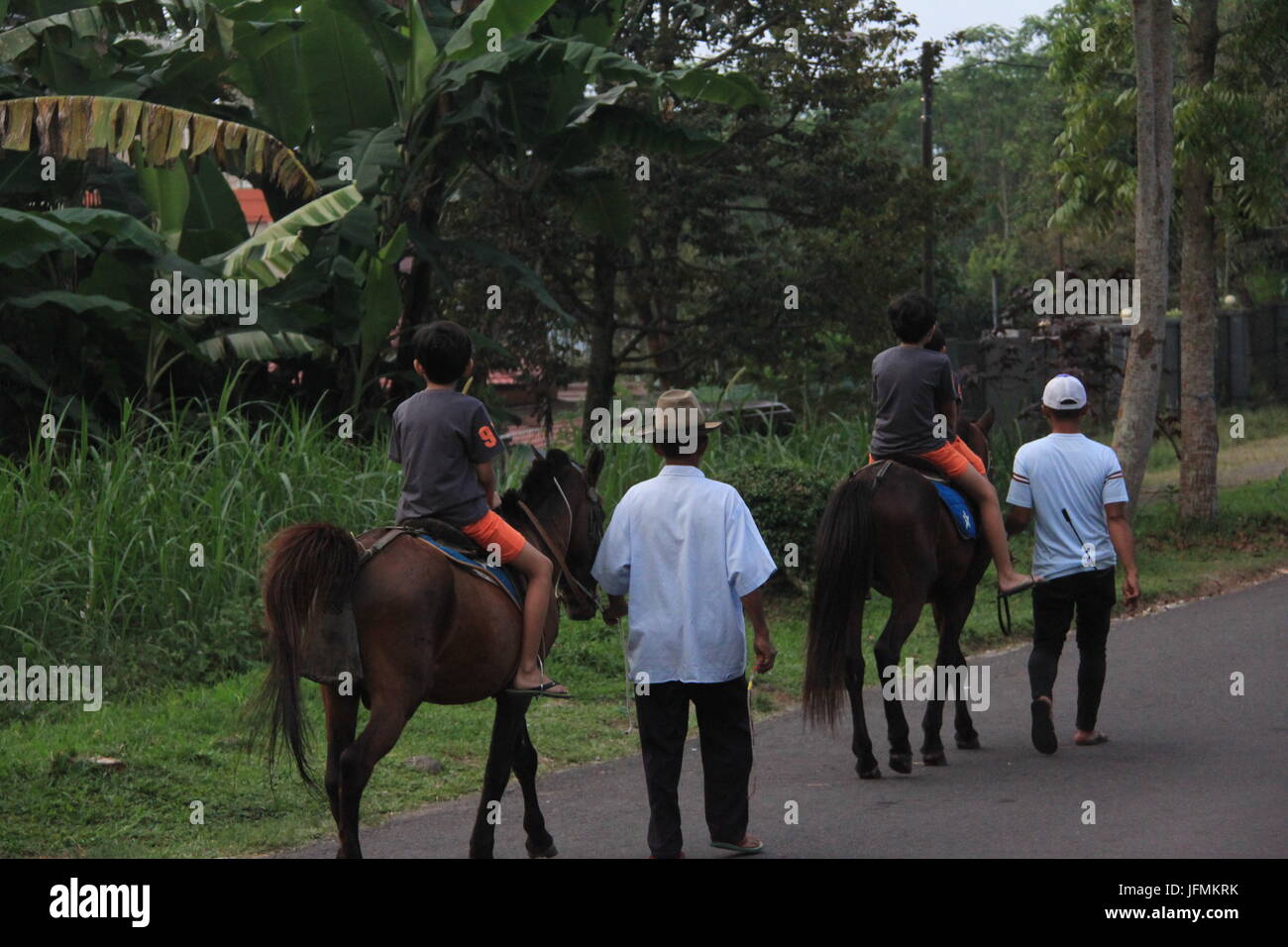 Horse riding at trawas, east java, Indonesia Stock Photo - Alamy