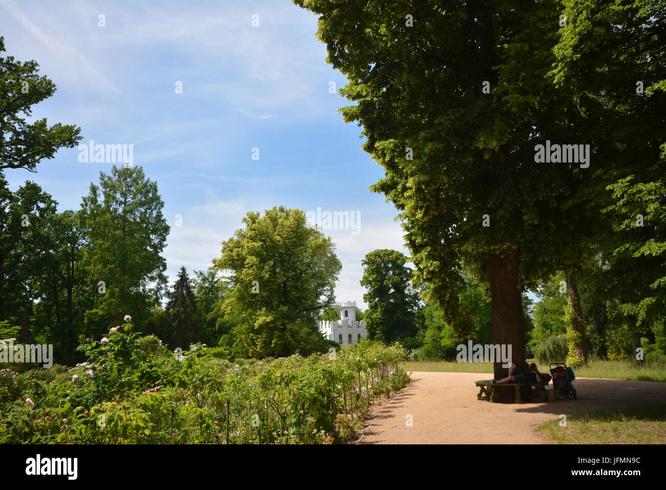 Impressions from the Peacock Island (Pfaueninsel) in Berlin on June 11 ...