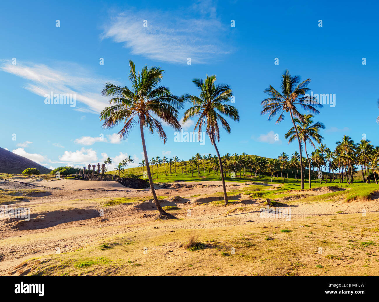Palm Trees by the Anakena Beach, Easter Island, Chile Stock Photo - Alamy