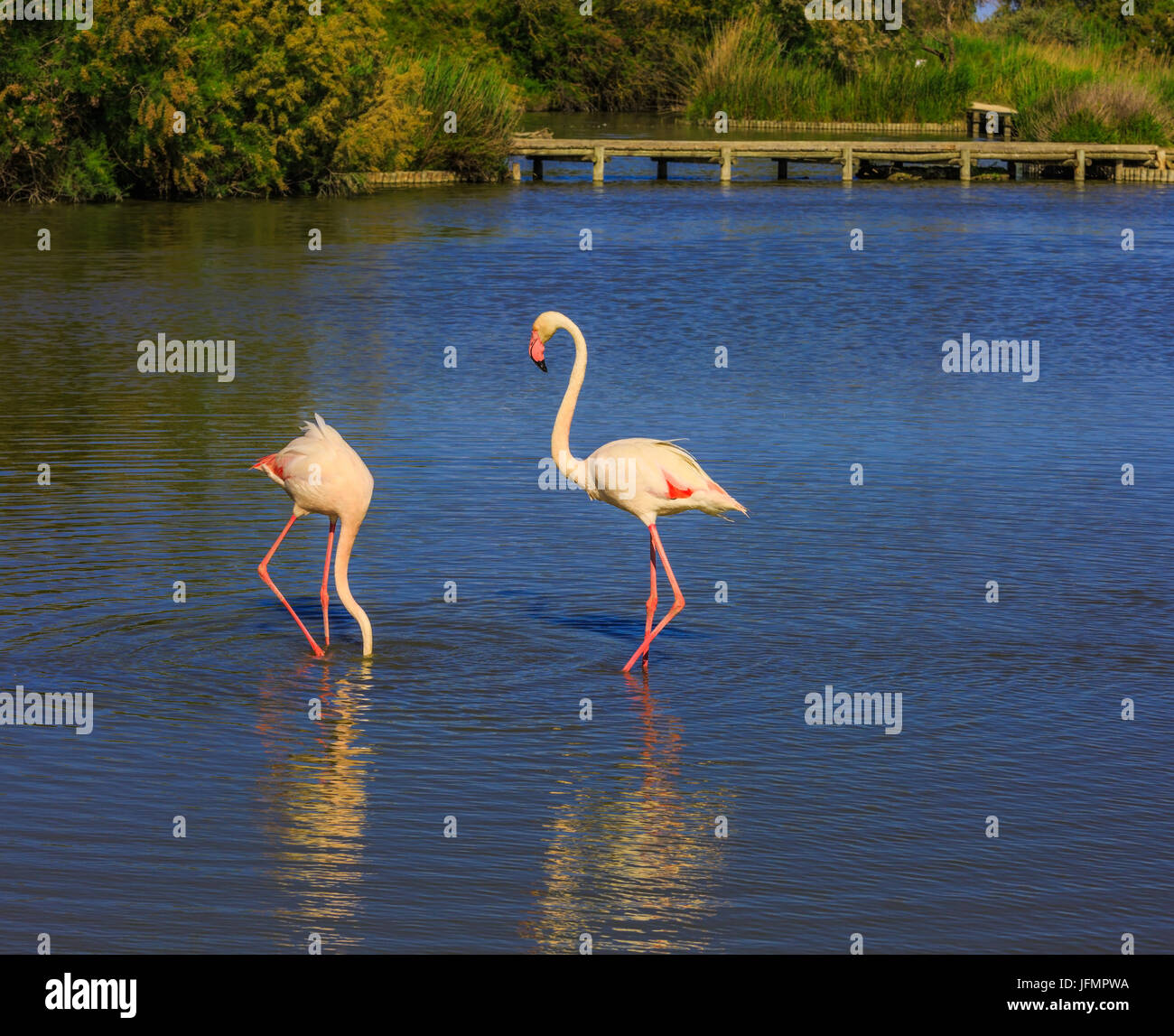 Delta rhone hi-res stock photography and images - Alamy