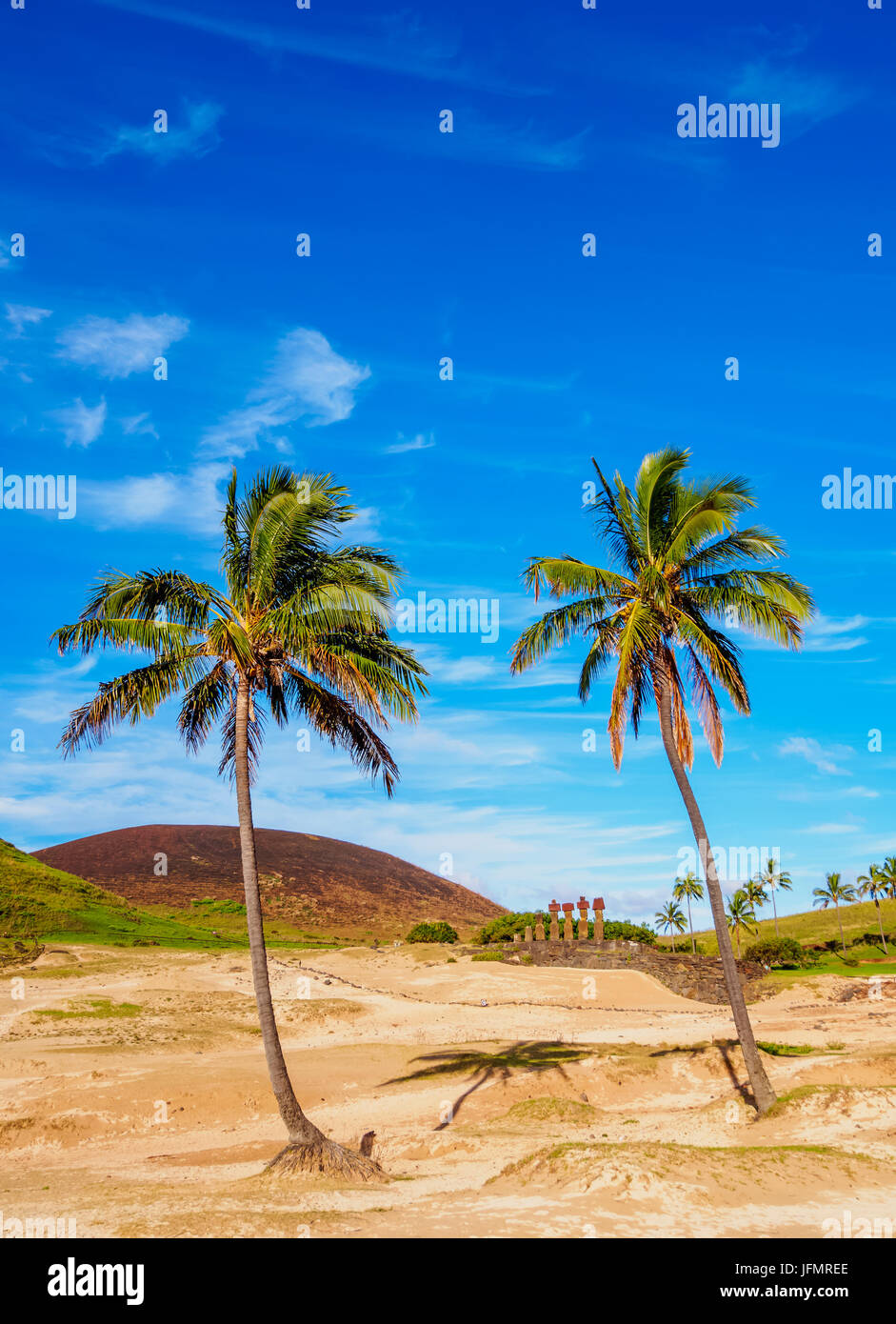Palm Trees by the Anakena Beach, Easter Island, Chile Stock Photo - Alamy