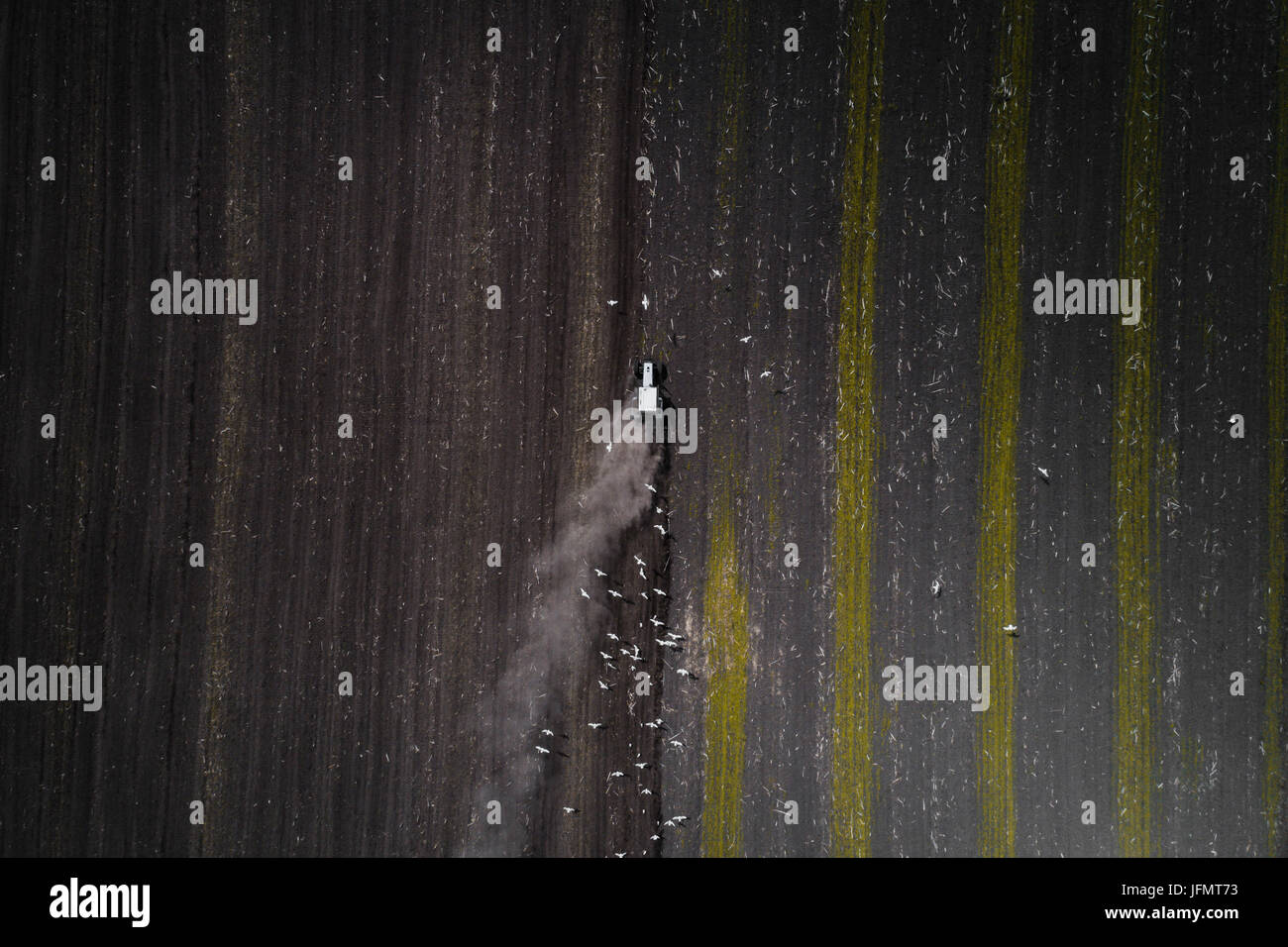 Tractor cultivating field at spring, aerial view Stock Photo - Alamy