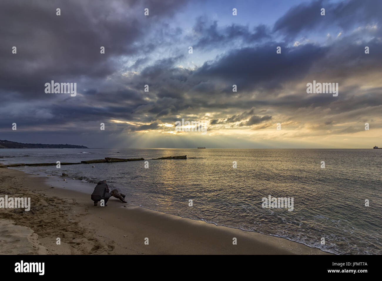 Shooting at tree hi-res stock photography and images - Alamy