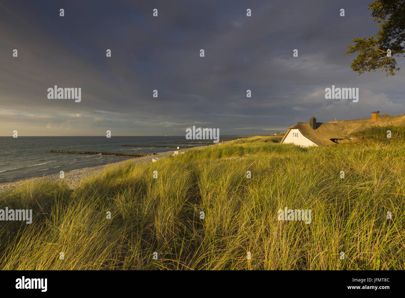 Beach on the baltic sea, germany Stock Photo - Alamy