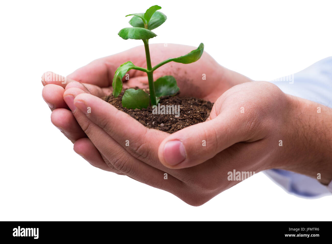 Hand holding seedling in new life concept on white Stock Photo - Alamy
