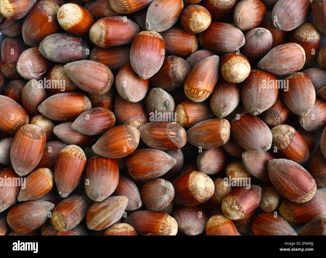 ripe hazelnuts texture Stock Photo - Alamy