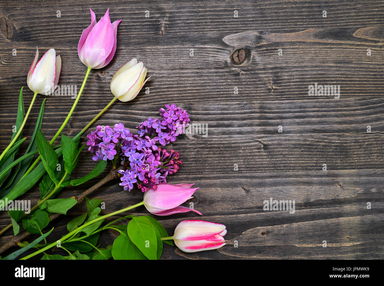 tulips and lilac background Stock Photo - Alamy