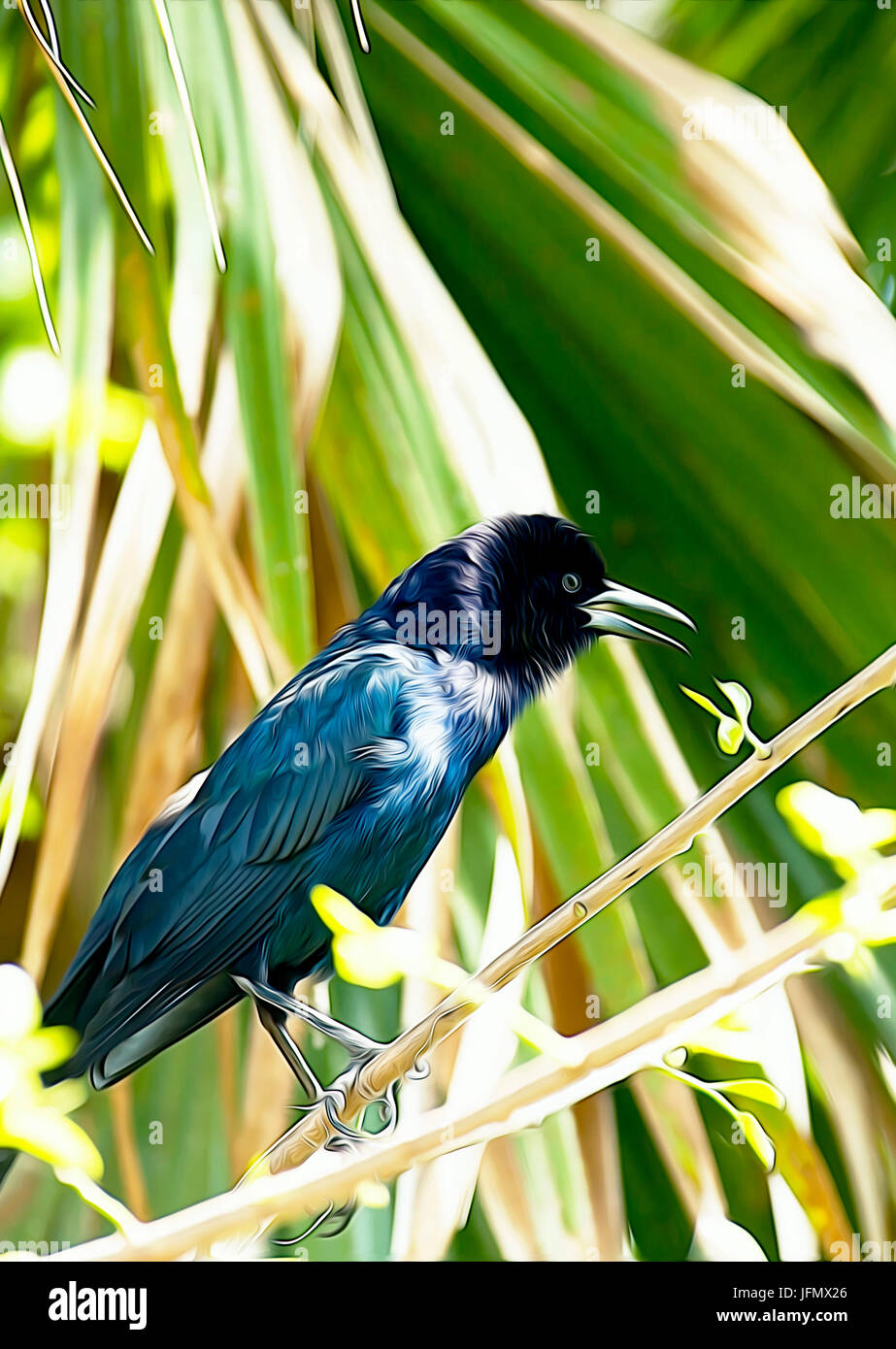 Flying bird logo hi-res stock photography and images - Alamy