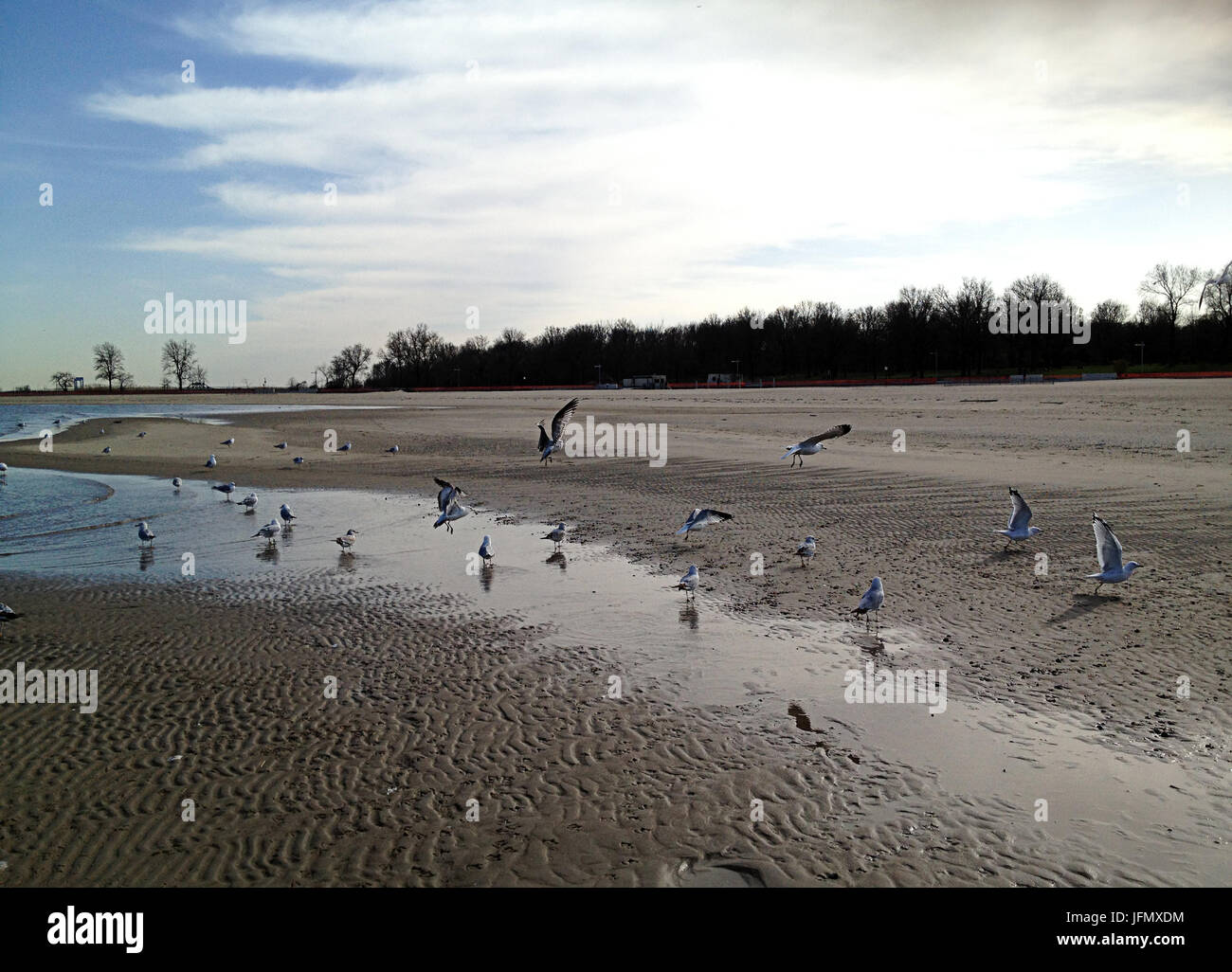 Orchard beach bronx hi-res stock photography and images - Alamy