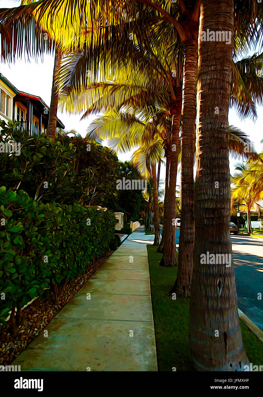 Sidewalk trees hi-res stock photography and images - Alamy