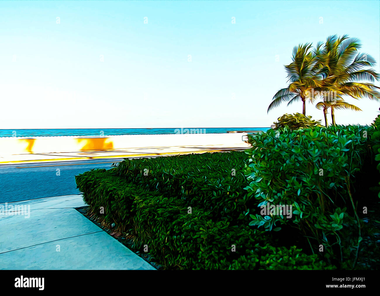 Vector palm hi-res stock photography and images - Alamy