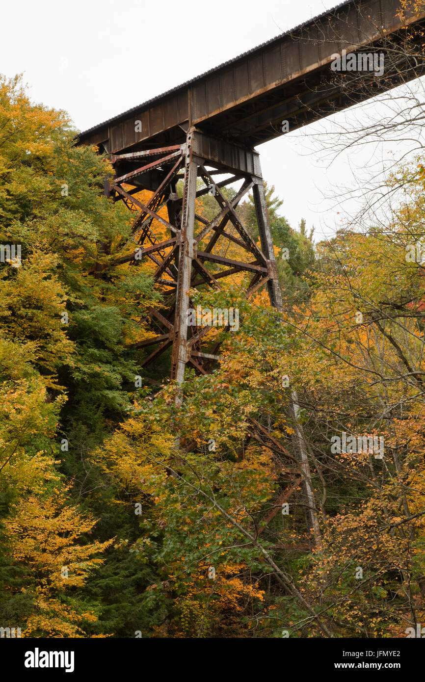 Old rusted train overpass crossing the forest in the fall season Stock ...