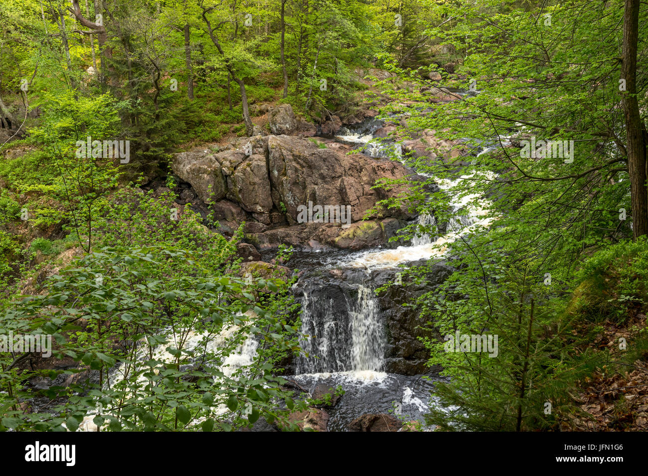 Danish nature hi-res stock photography and images - Alamy