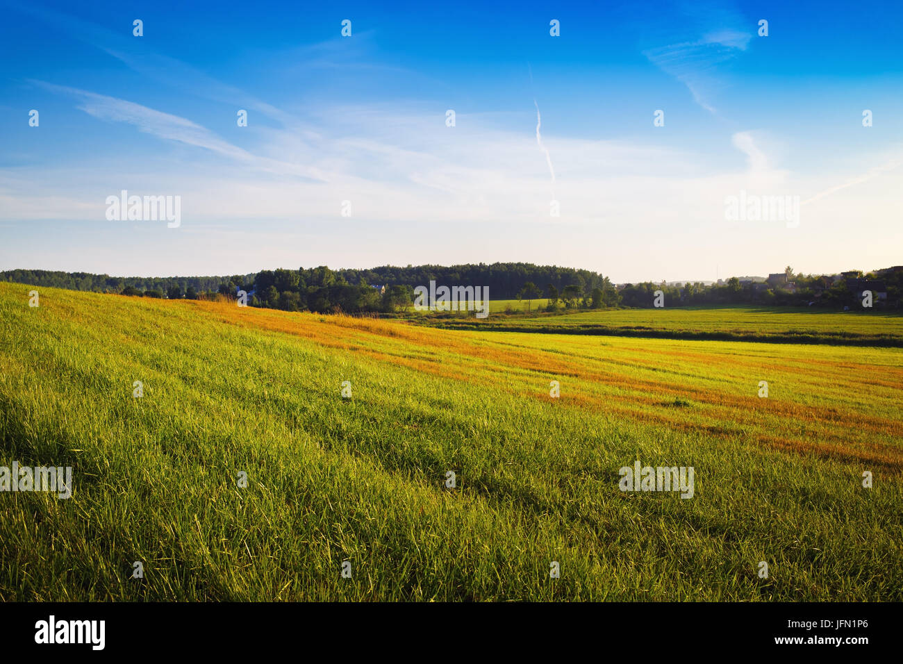 Daylight and countryside in summer hi-res stock photography and images ...