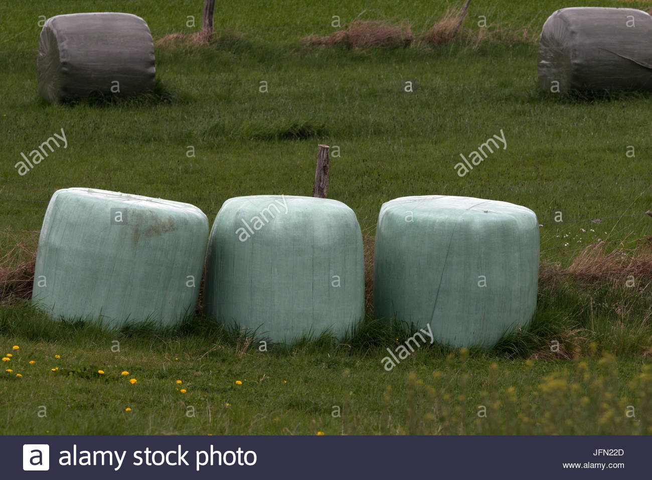 Silage Bales Stock Photos & Silage Bales Stock Images - Alamy