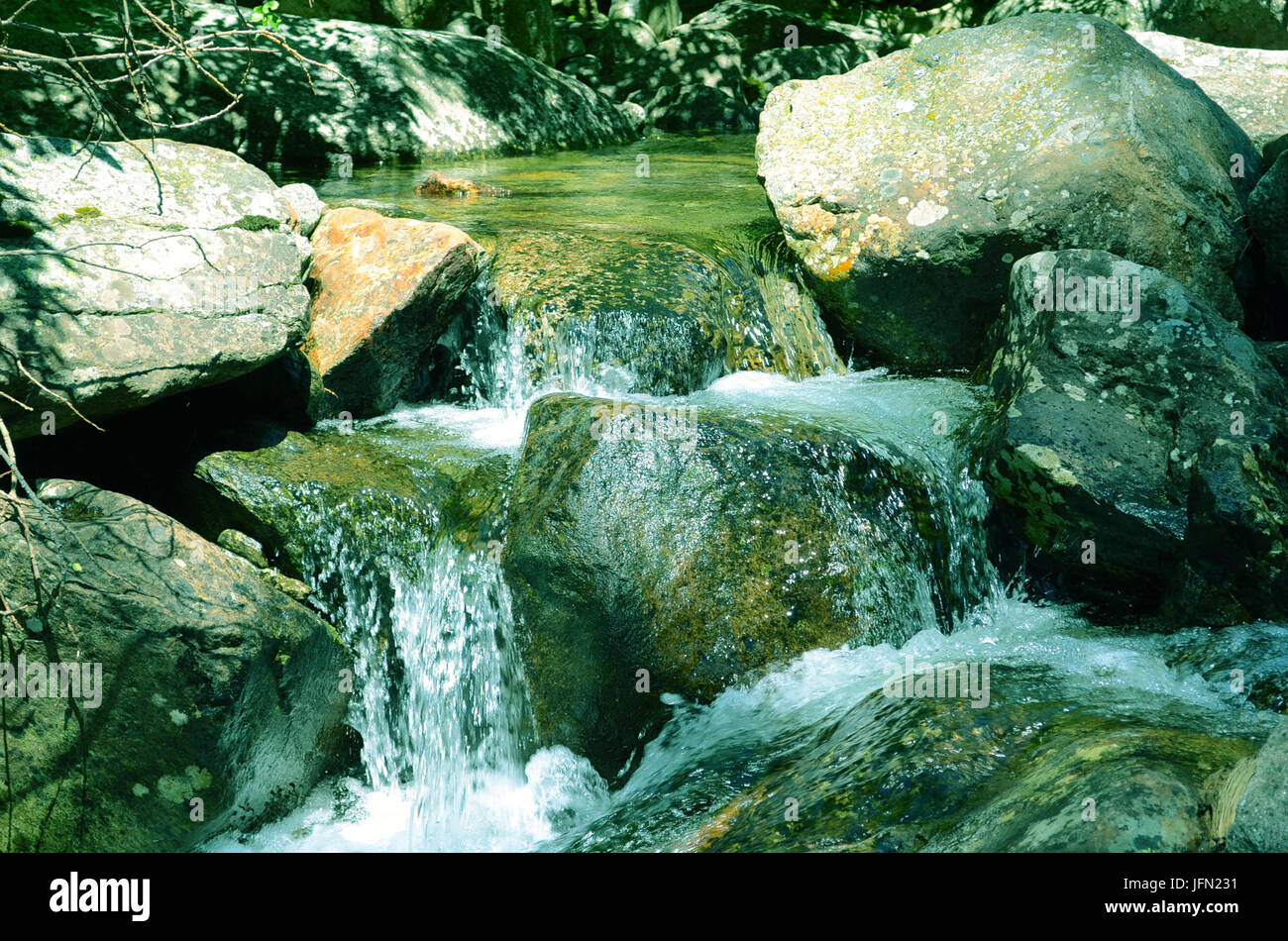 Speedframe hi-res stock photography and images - Alamy