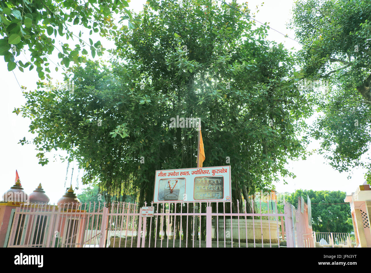 The sacred banyan tree at Jyotisar, Kurukshetra, India under which Lord ...