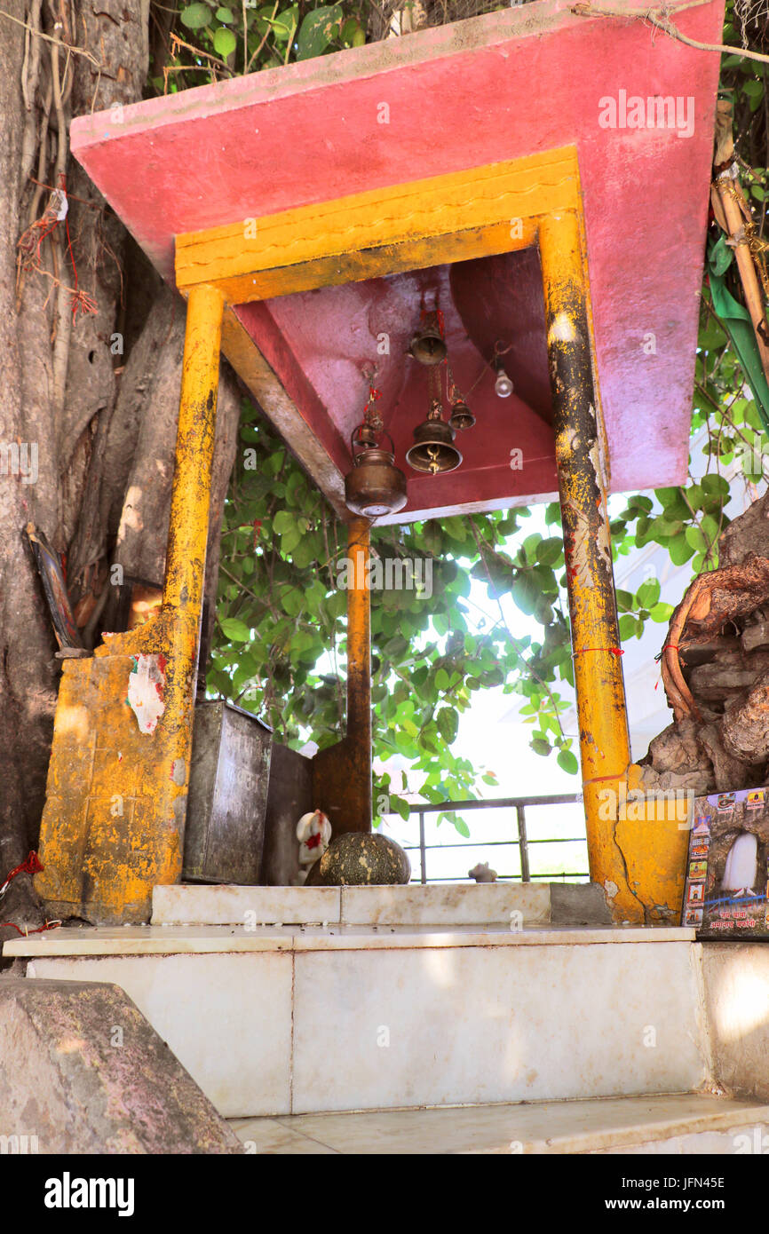 The sacred banyan tree at Jyotisar, Kurukshetra, India under which Lord ...