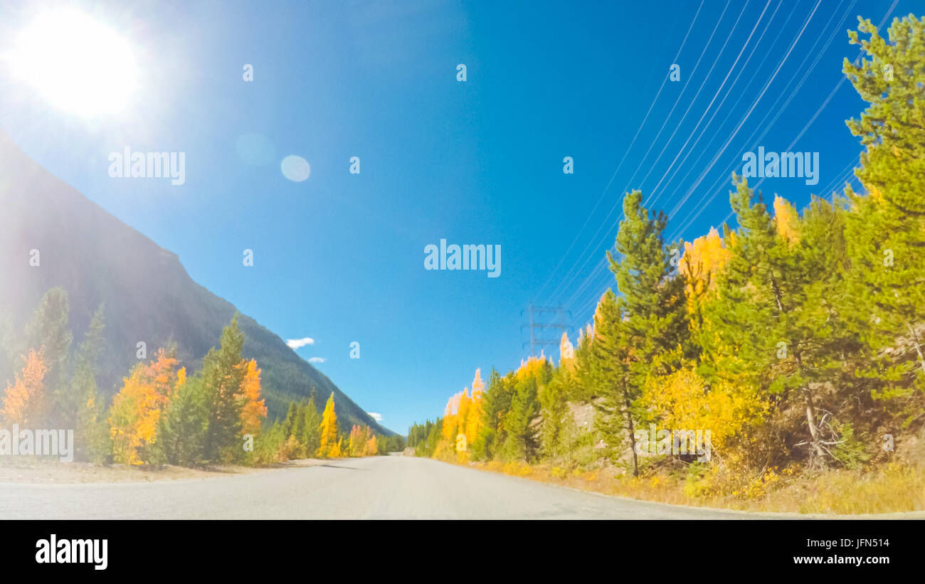 POV point of view - Driving through alpine forest of Guanella Pass in ...