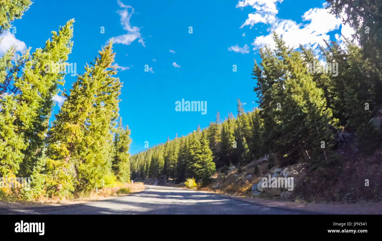 POV point of view - Driving through alpine forest of Guanella Pass in ...